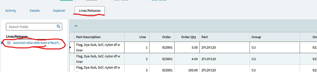 Added New Tab Page to Kinetic Order Entry...What is this? - Kinetic ERP - Epicor User Help Forum