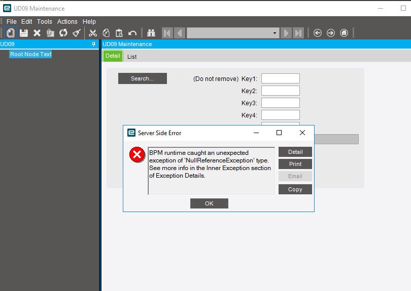 BPM runtime caught an unexpected exception of 'NullReferenceException ... BPM runtime caught an unexpected exception of 'NullReferenceException ...
